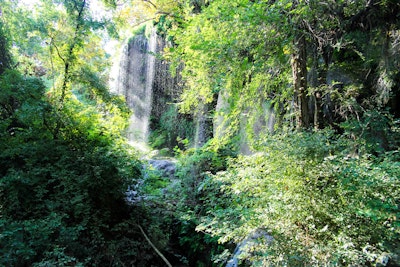 Hike to Gorman Falls, Gorman Falls Trailhead