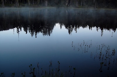Hike Mount Albert Edward, Paradise Meadows Trailhead