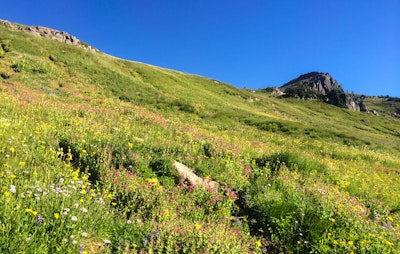Hike to Goat Lake, Goat Rocks Wilderness, Walupt Lake Trail