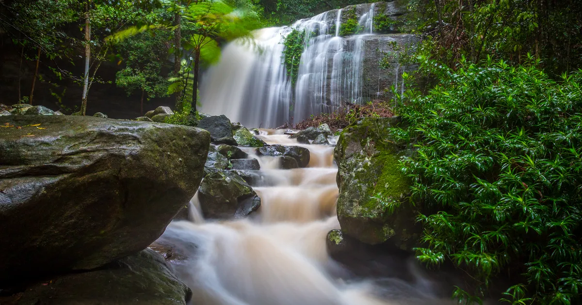 Explore Serenity Falls, Buderim, Buderim, Queensland