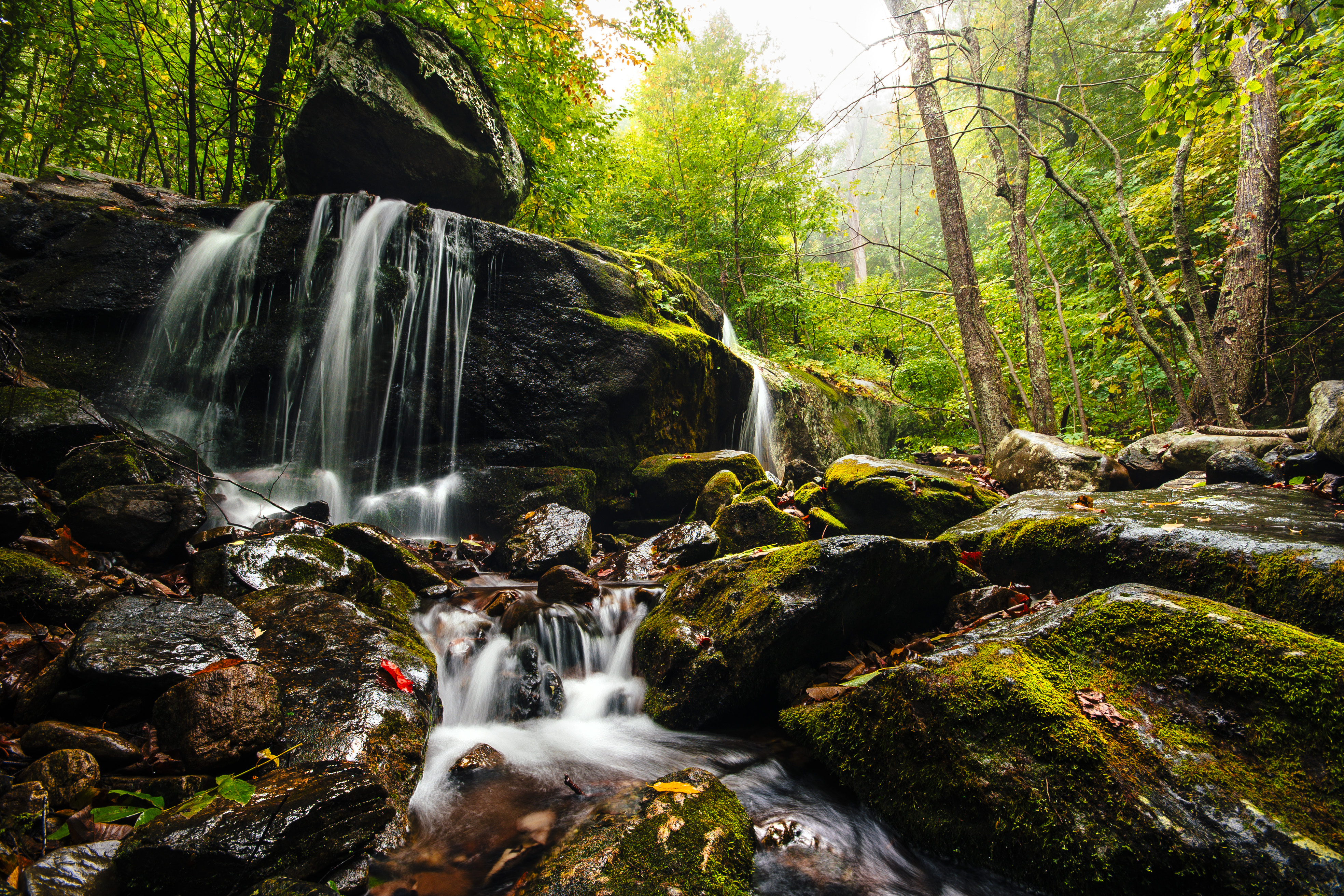 Hike to Apple Orchard Falls, Buchanan, Virginia