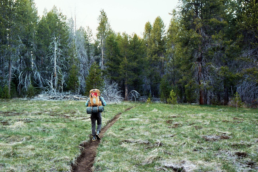 7 Backcountry Survival Essentials