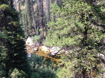 Hike to Loon Lake, Chinook Campground