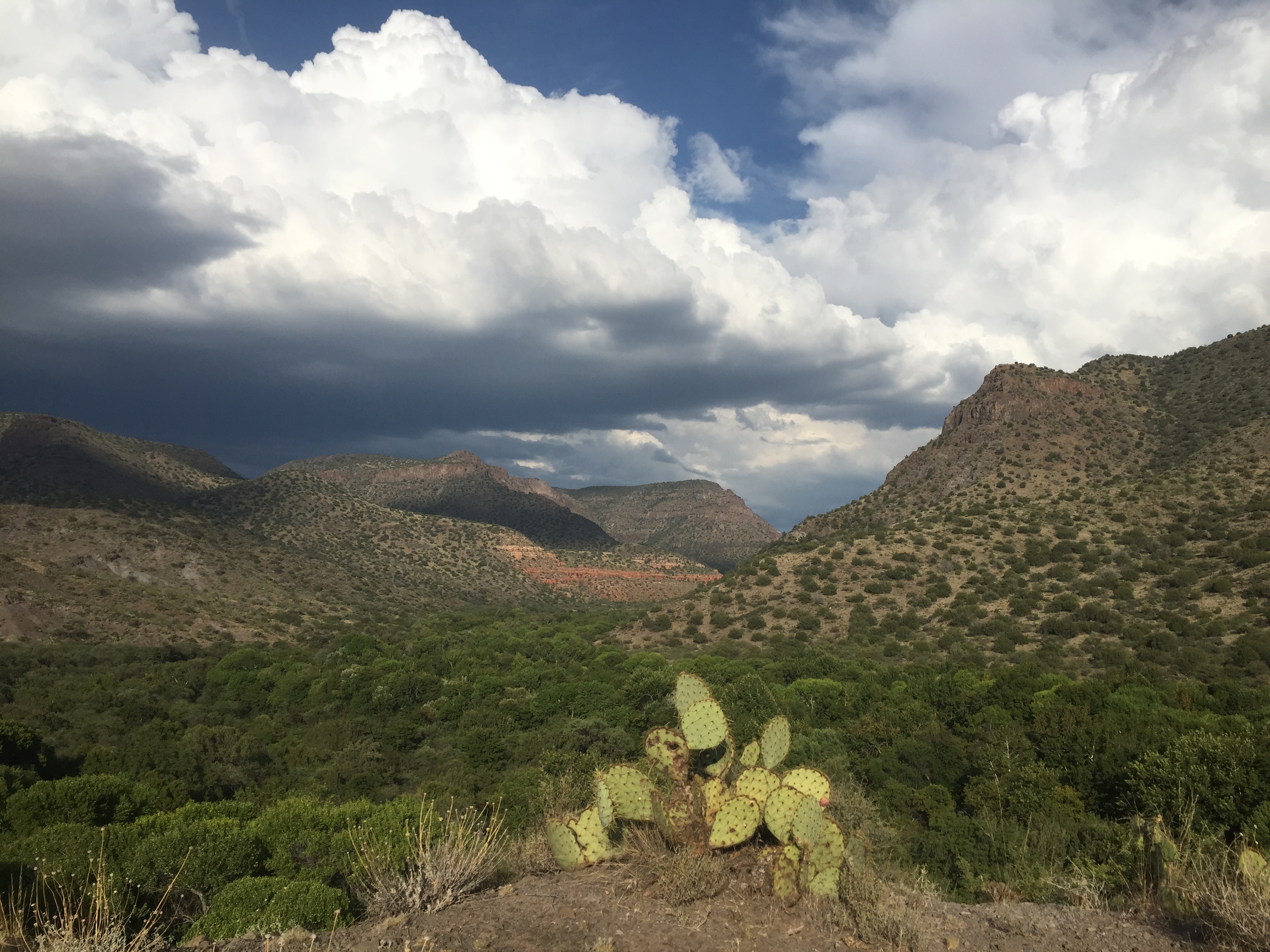 Photos: The Bull Pen, Camp Verde, Arizona