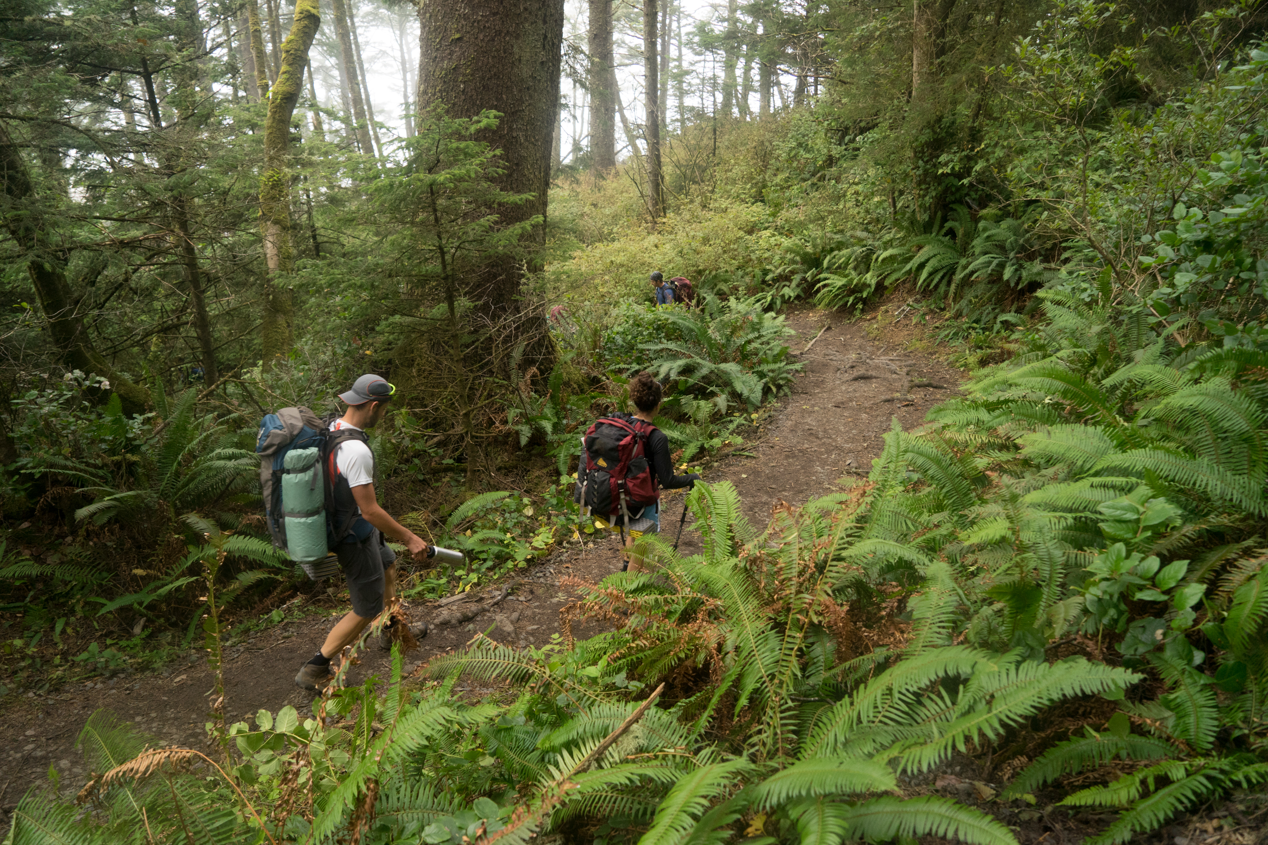 Toleak Point via Third Beach Trailhead, La Push, Washington