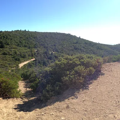 Hike Mount Saint Helena, Mt. St. Helena Trail