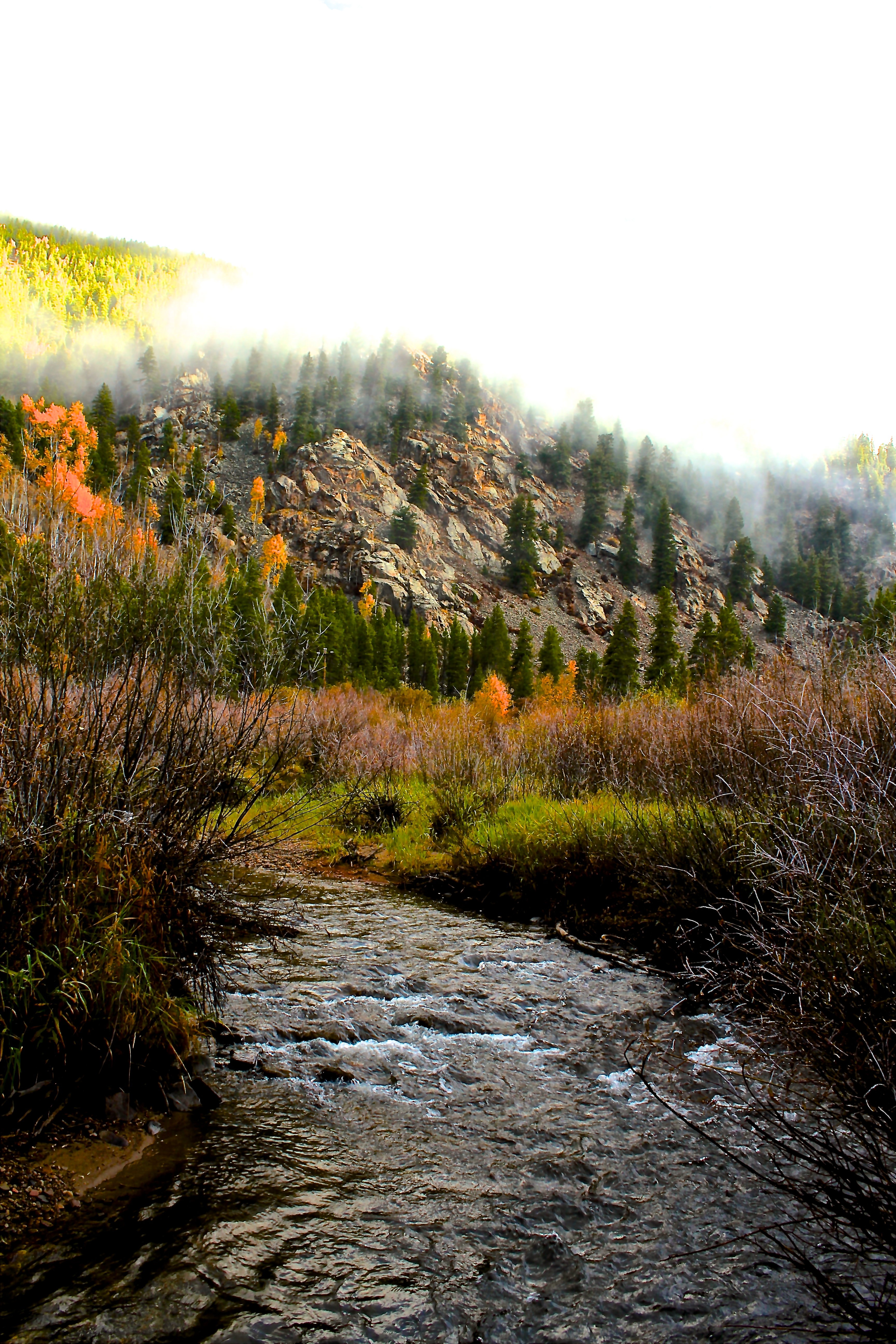 Hike to Roosevelt Mine, Parlin, Colorado