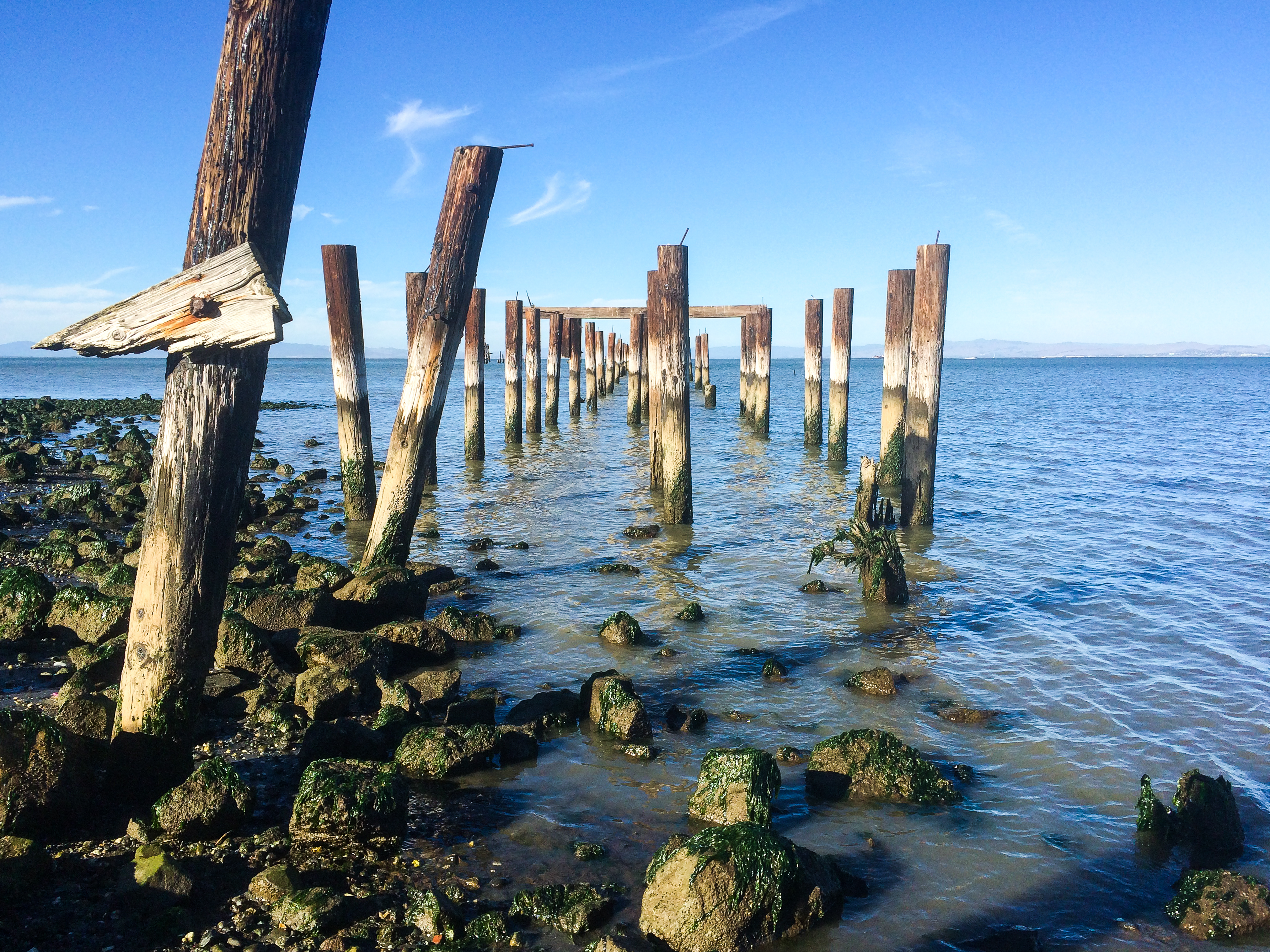 Explore Point Pinole Shoreline, Richmond, California