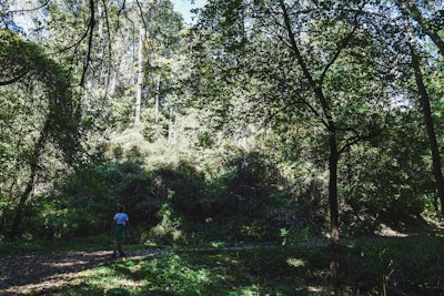 Hike West Ridge Trail in Weston Bend State Park, West Ridge Trailhead