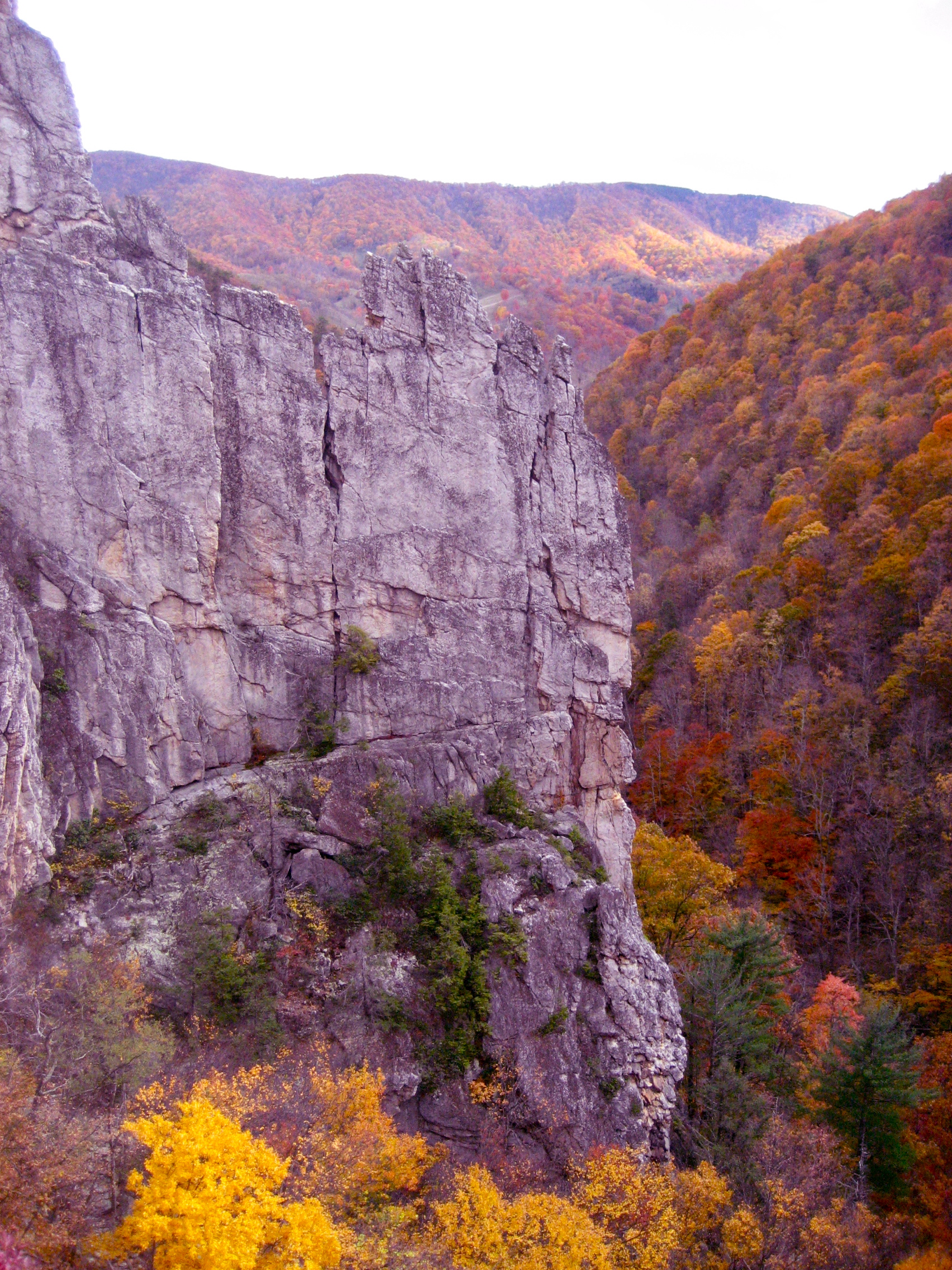 Photo of Via Ferrata climb in Nelson Rock, West Virginia