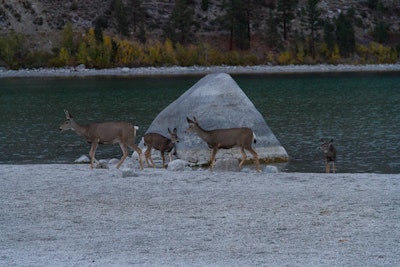 Explore June Lake, June Lake