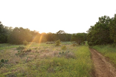 Hike through St. Edwards Park , St. Edwards Trail