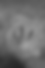 Explore Dinosaur Tracks in Leander, South Fork San Gabriel River