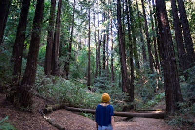 Hike the Redwood Regional Park Loop, Skyline Gate Staging Area