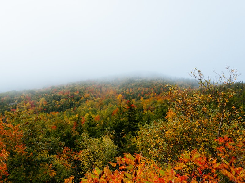 When and Where to See the Famed Fall Foliage of the East Coast