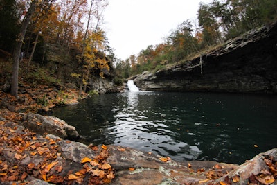 Explore Lula Lake Land Trust, Lula Lake Land Trust