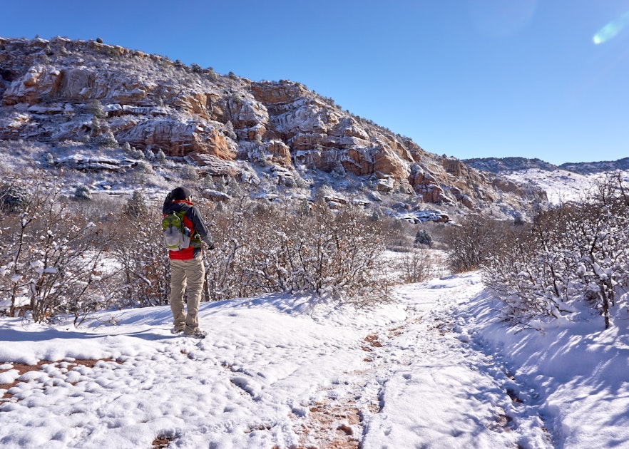 Hike the Coyote Song-Swallow Trail Loop, South Valley Park