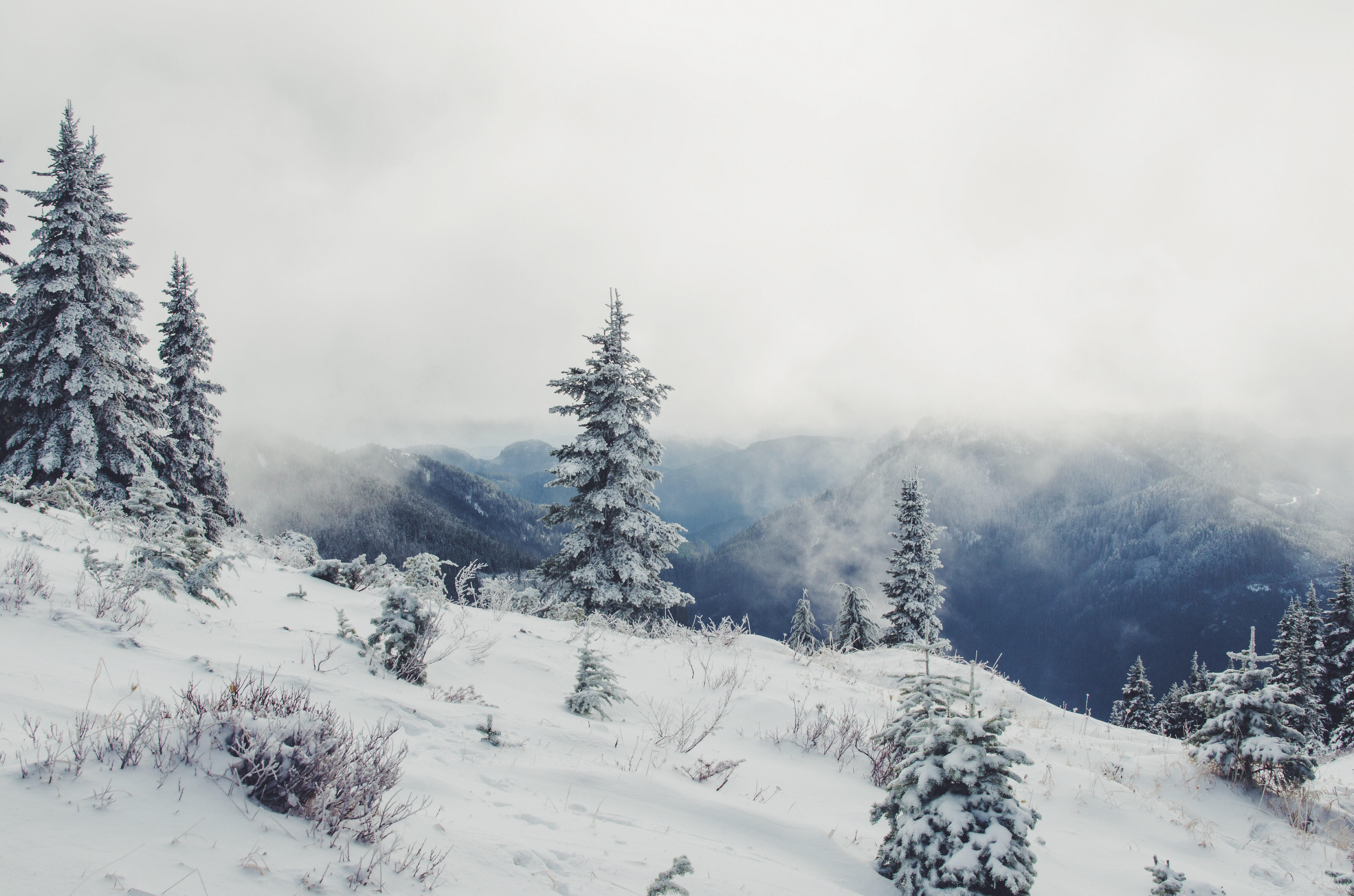 Hike Green Mountain, BC, Youbou, British Columbia