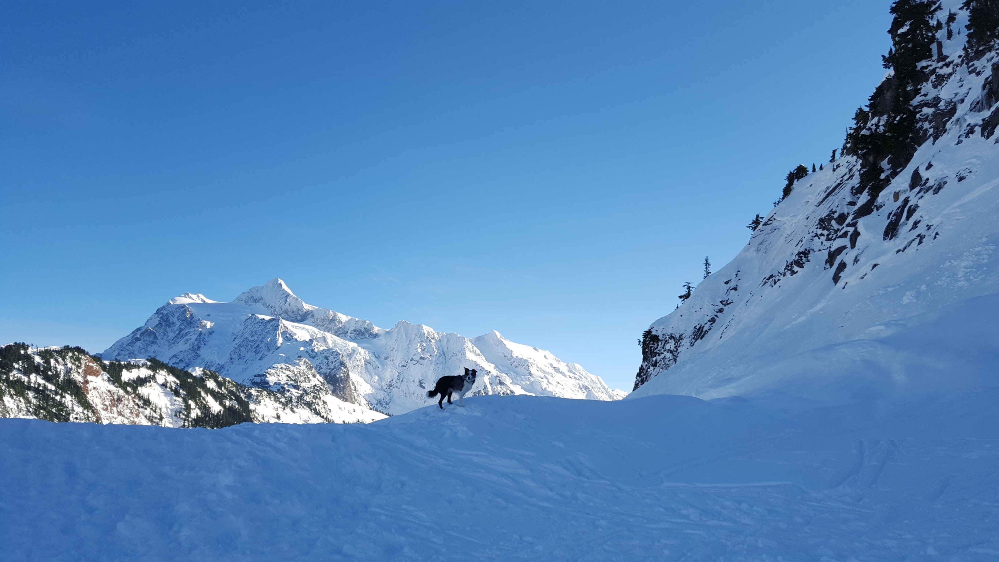 Photos: Snowshoeing at Mount Baker - Artist Point, Deming, Washington