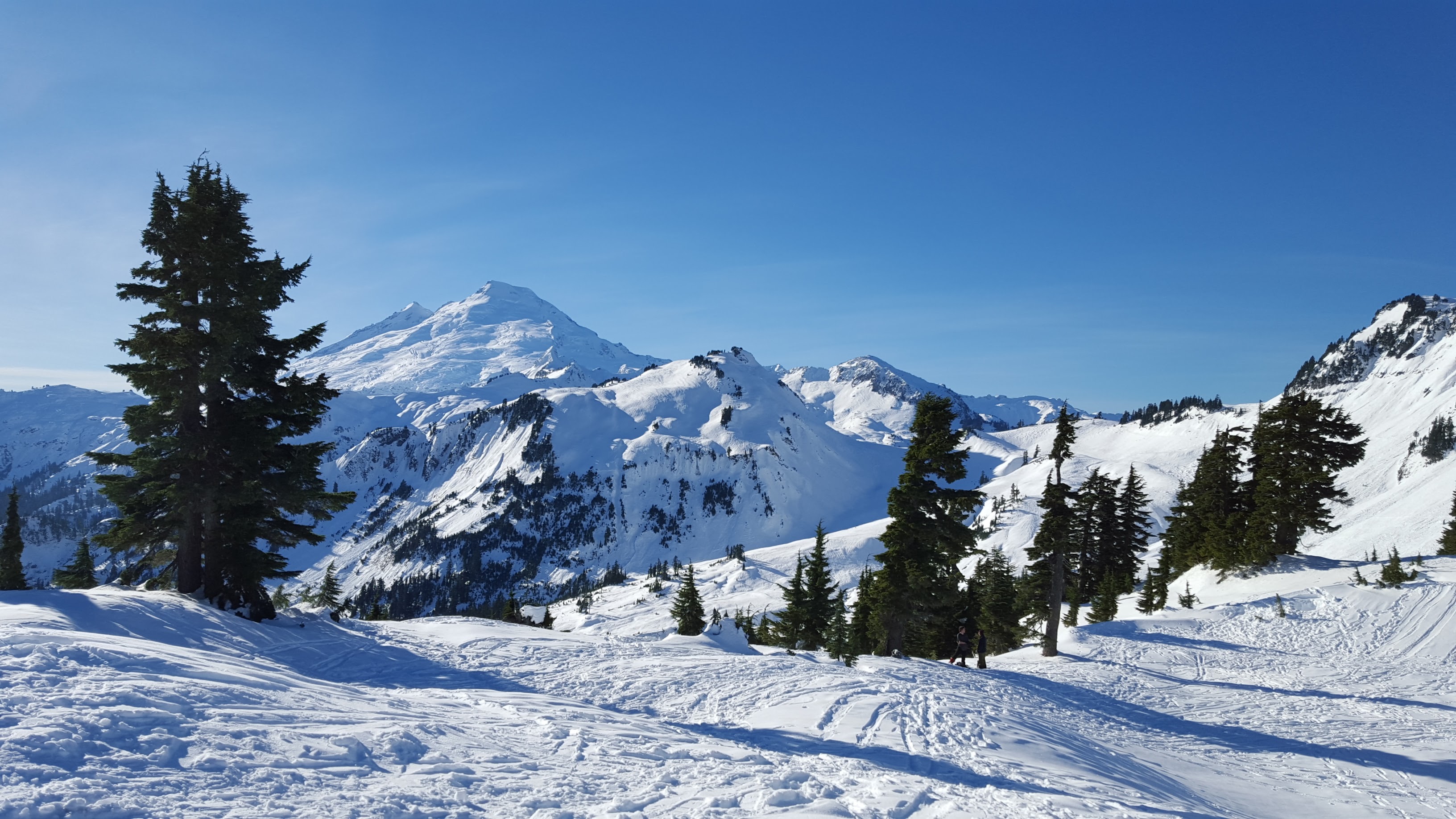 Photos: Snowshoeing at Mount Baker - Artist Point, Deming, Washington