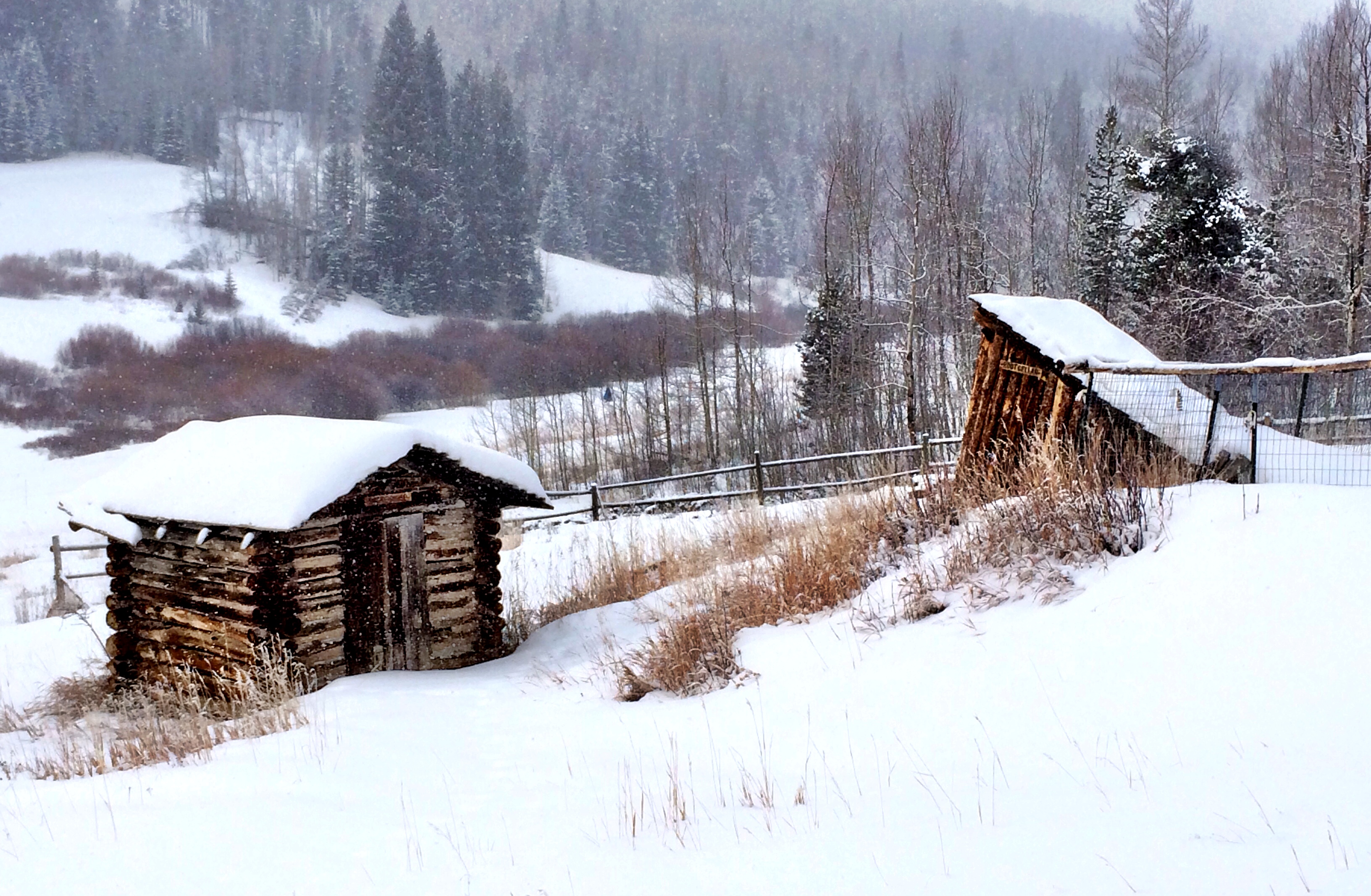 Snowshoe to Rowley Homestead at Snow Mountain Ranch, Grand Lake, Colorado