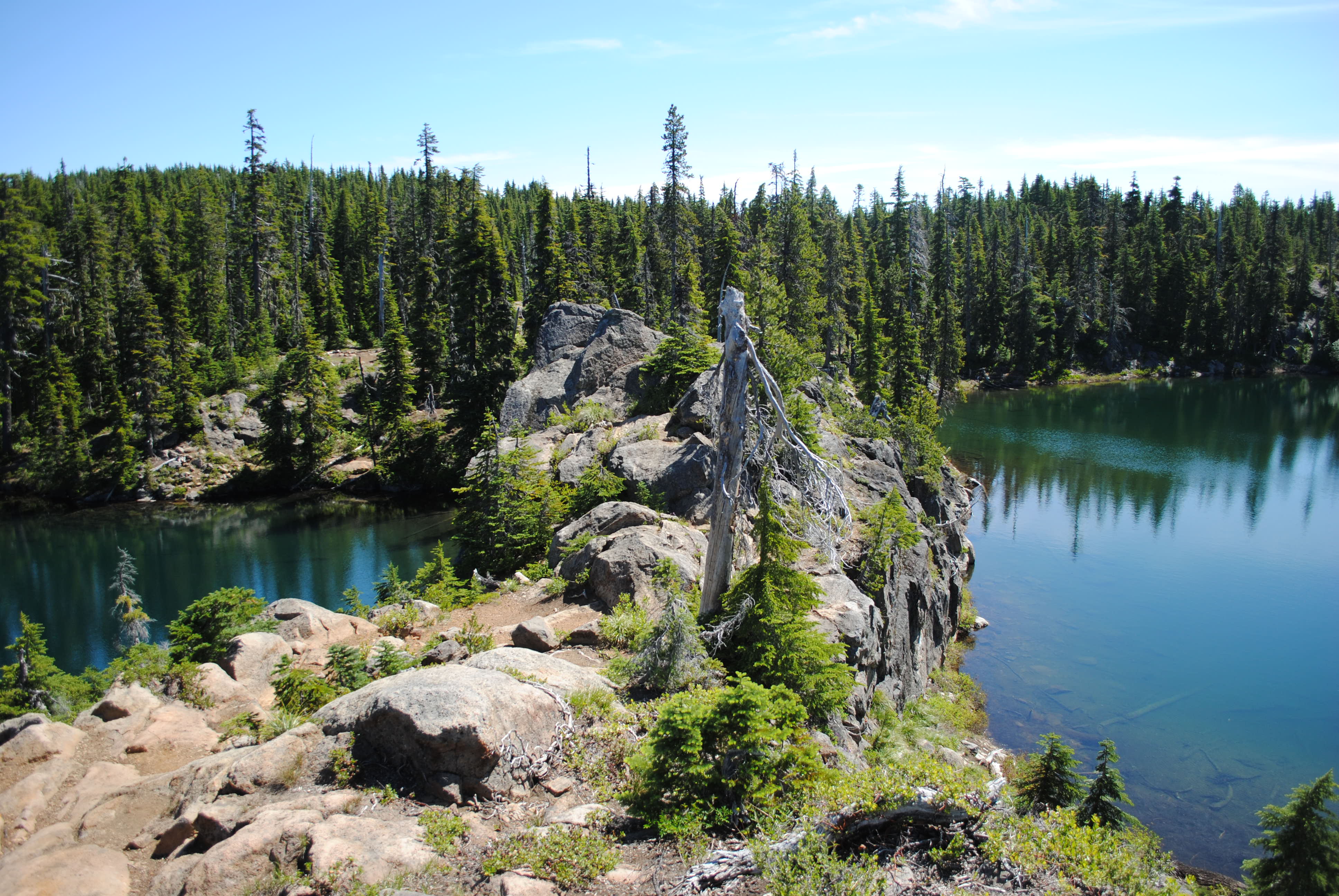 Tenas Lakes via Benson Lake Trail, Lane County, Oregon