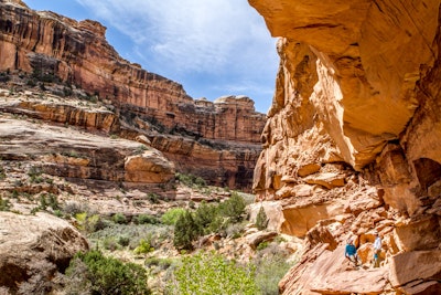 Backpack Great Gulch: Kane Gulch to Bullet Canyon , Kane Gulch Trailhead