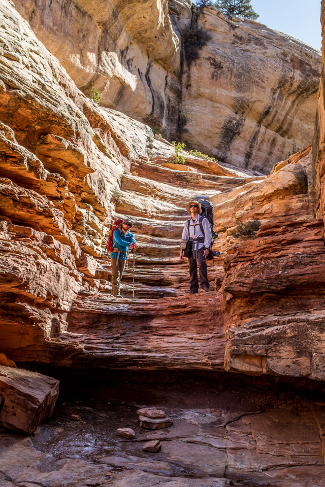 Backpack Great Gulch: Kane Gulch to Bullet Canyon , San Juan County, Utah