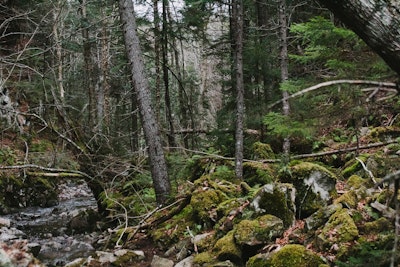 Hike to Blue Falls & Healy Brook Falls, Blue Falls Trailhead