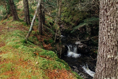 Hike to Blue Falls & Healy Brook Falls, Blue Falls Trailhead