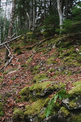 Hike to Blue Falls & Healy Brook Falls, Blue Falls Trailhead