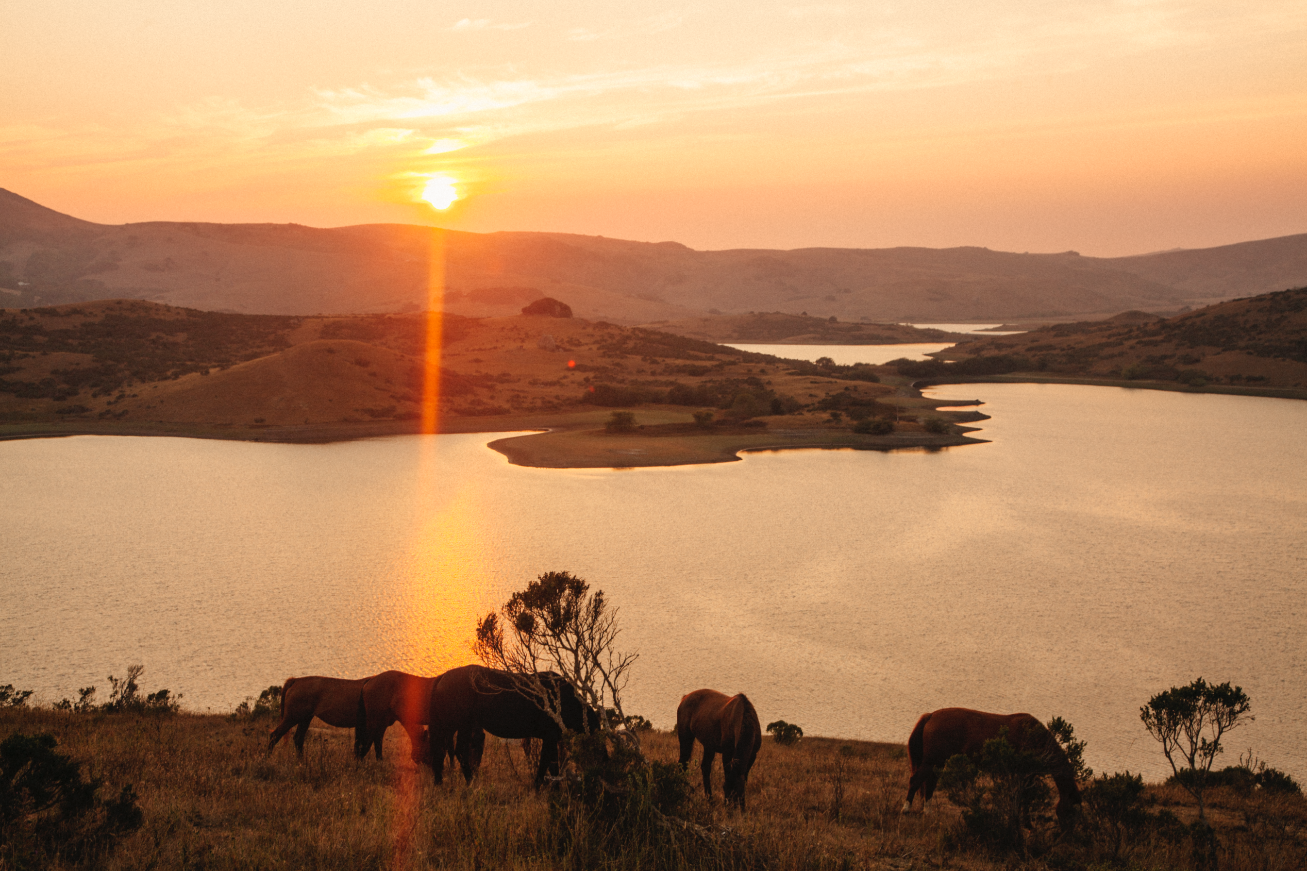 Hike and Fish at Nicasio Reservoir , Nicasio, California