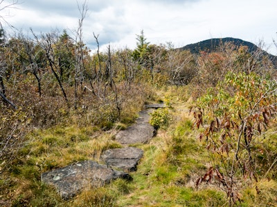 Backpack the Catskill's Escarpment Trail, Escarpment Trail