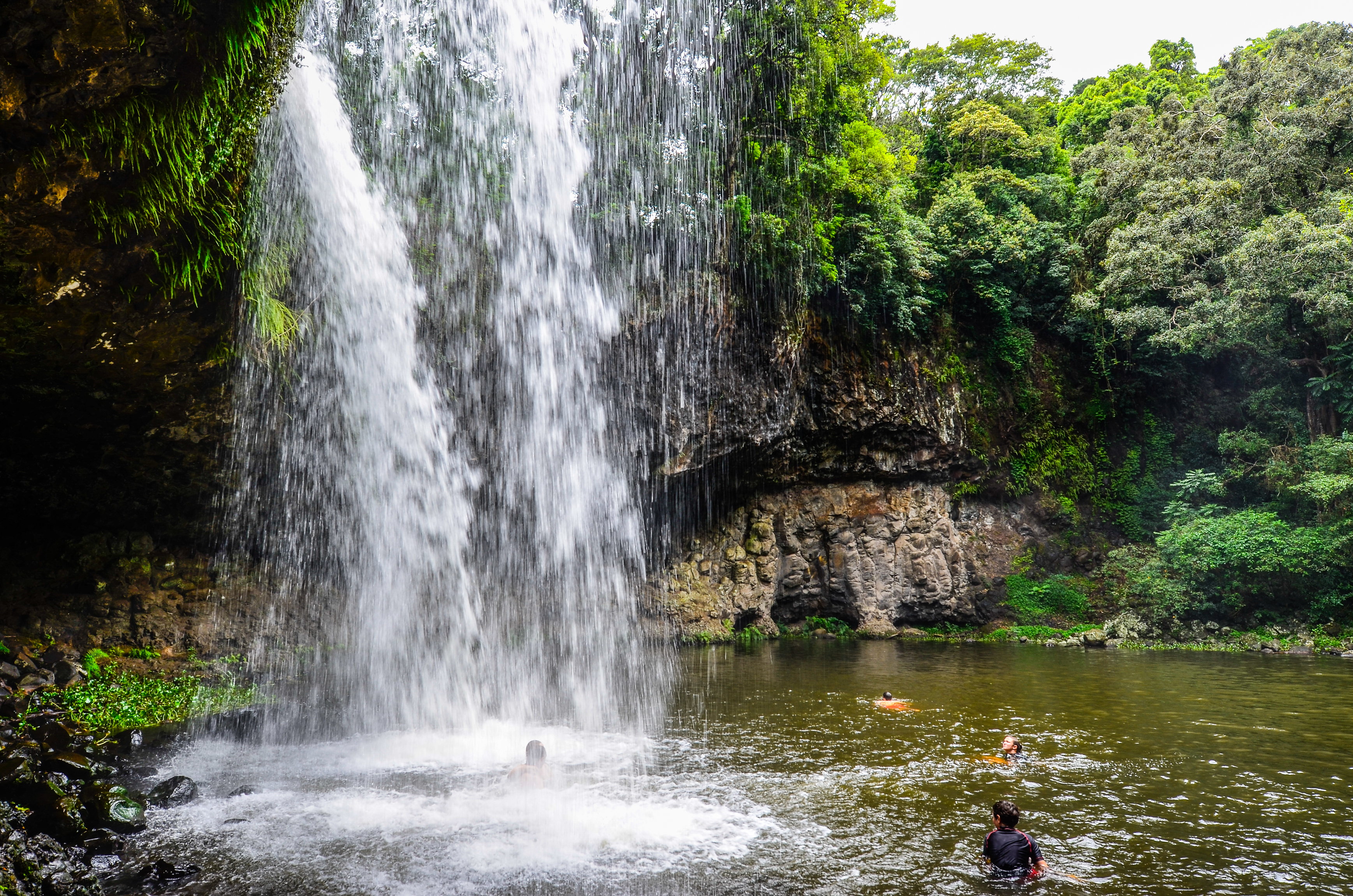 Explore Killen Falls, Tintenbar, New South Wales