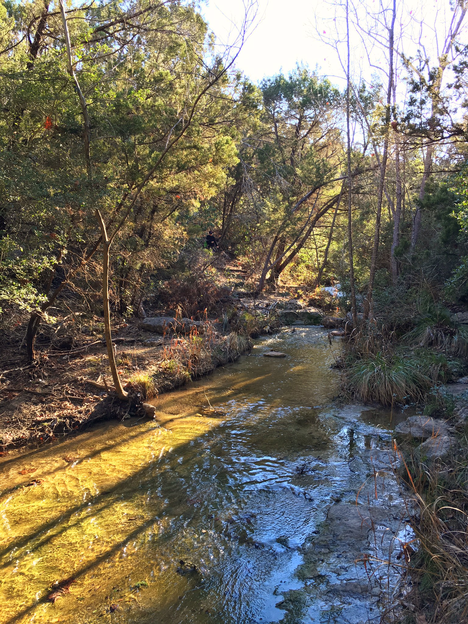 Photos: Wild Basin Wilderness Preserve Loop, Austin, Texas