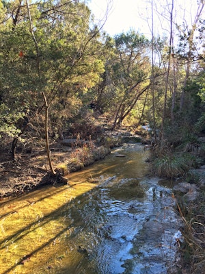 Hike through the Wild Basin Wilderness Preserve, Wild Basin Parking Area