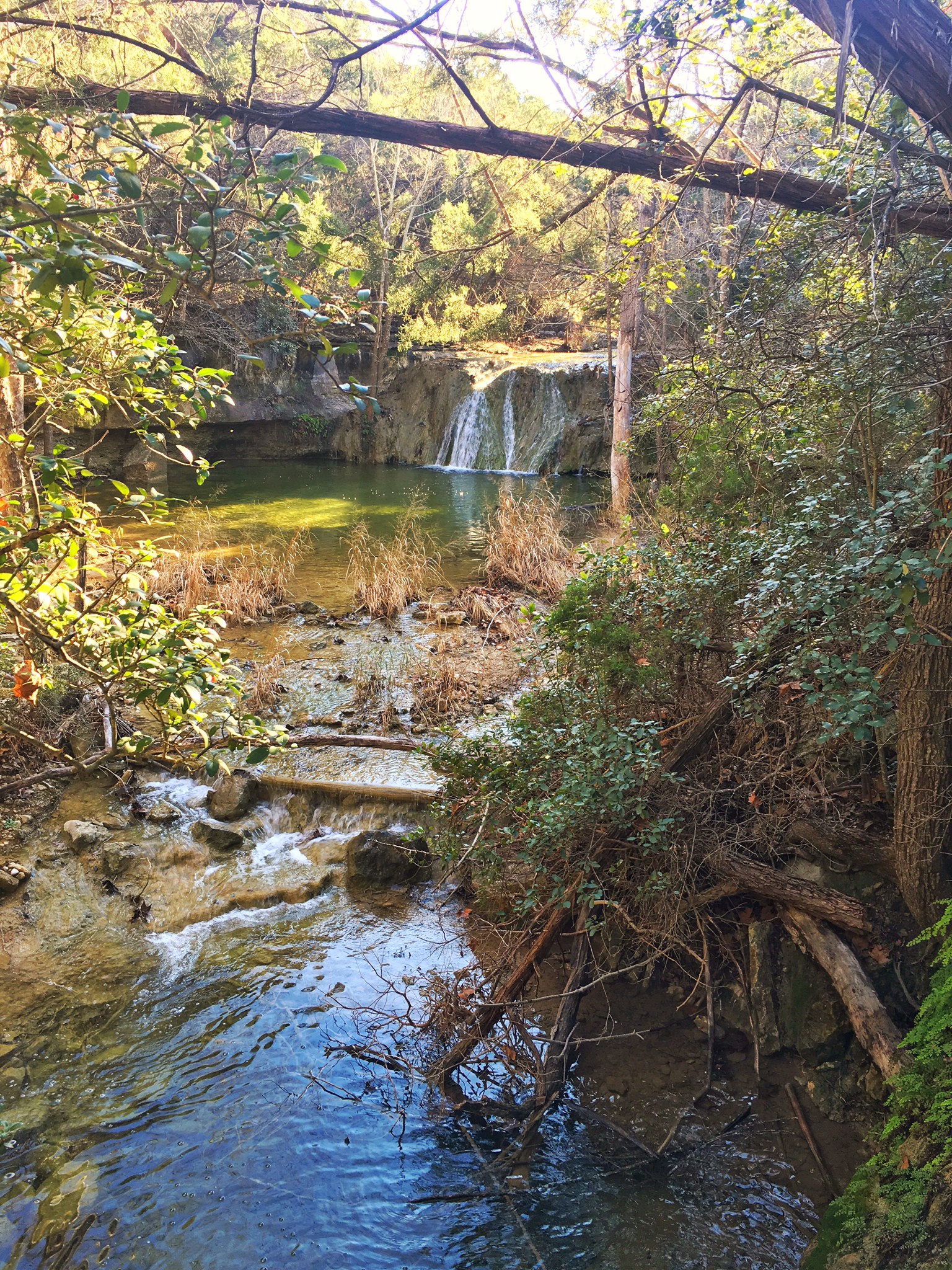Photos: Wild Basin Wilderness Preserve Loop, Austin, Texas