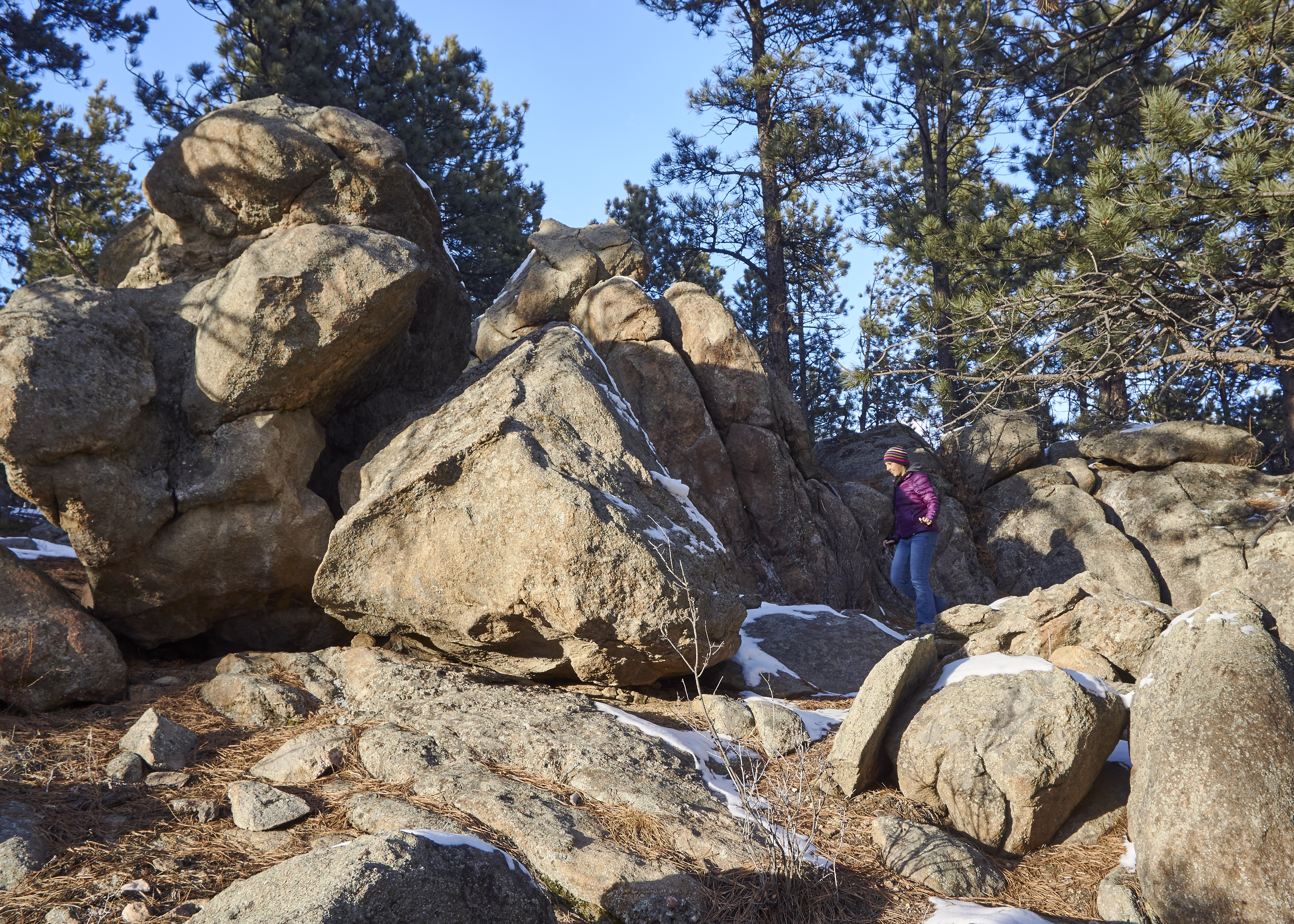 Boulder The Eggs on the Hidden Fawn Trail, Evergreen, Colorado