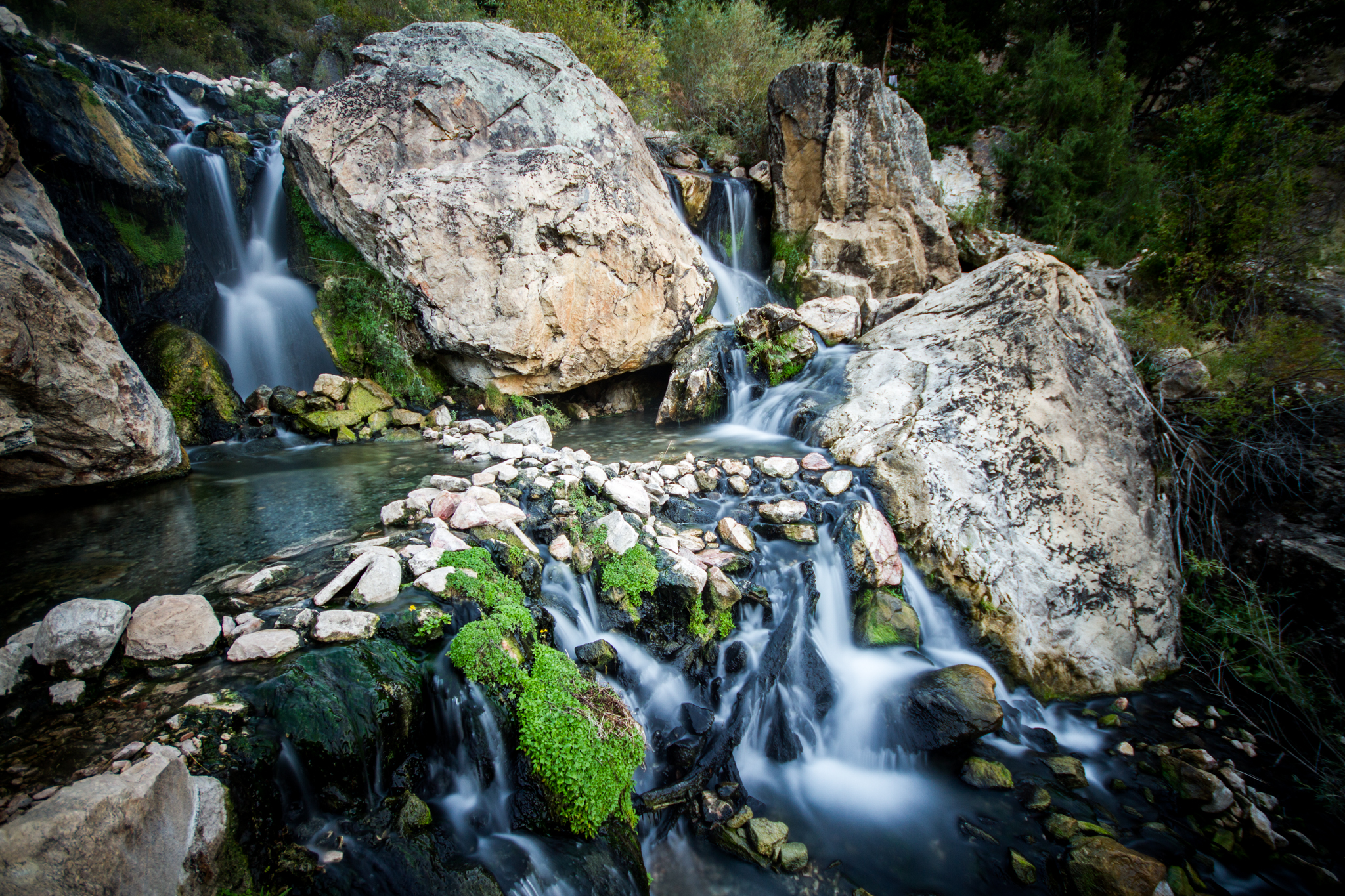 Photo of Goldbug Hot Springs