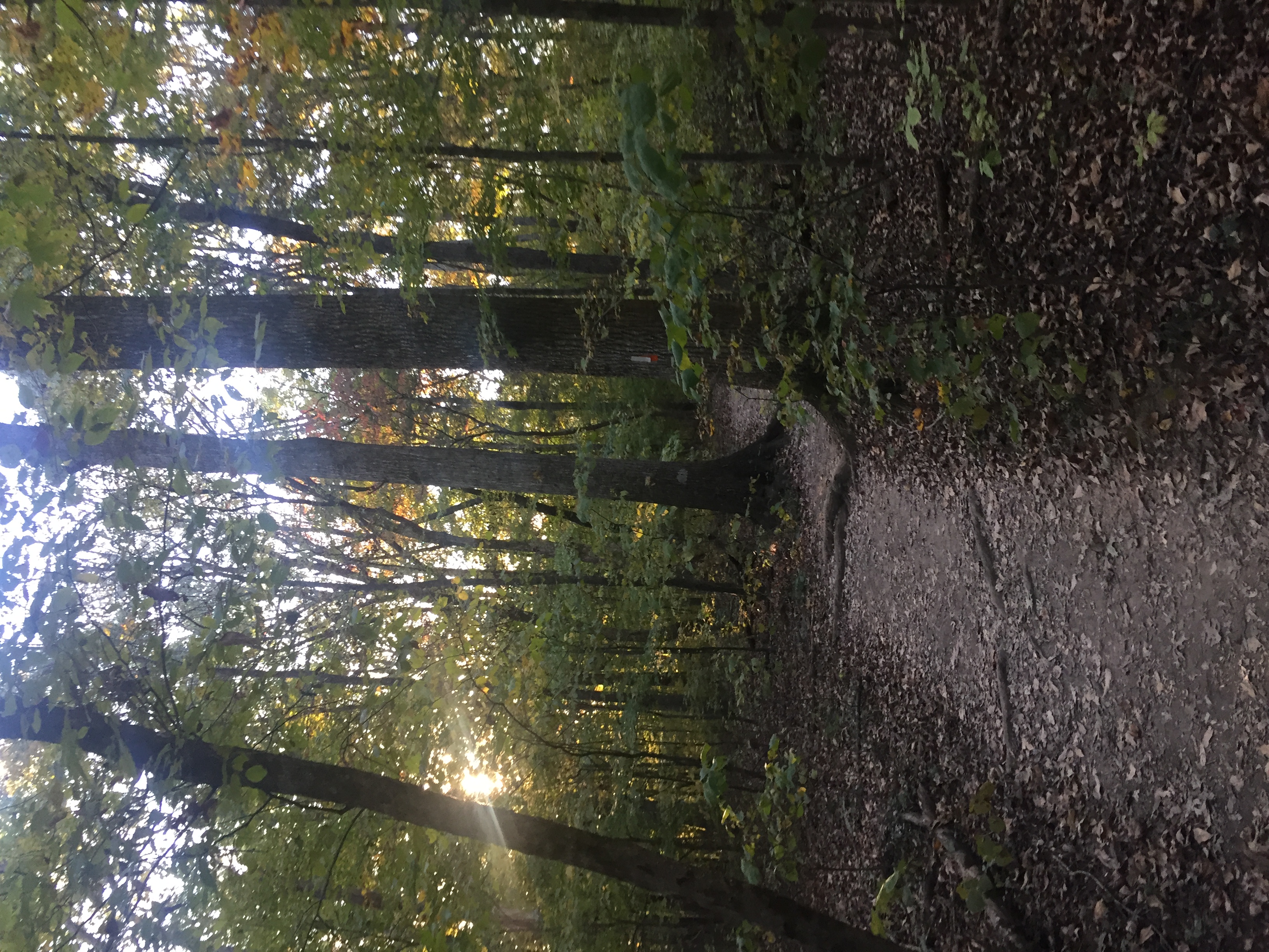 Photos: Hike the Day Loop at Long Hunter State Park, Nashville, Tennessee