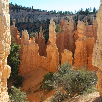 Hike the Fairyland Loop Trail at Bryce Canyon NP, Fairyland Point