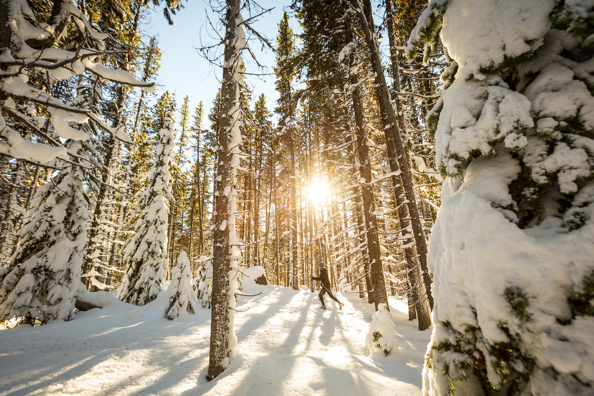 7 Amazing Winter Adventures In Jasper National Park