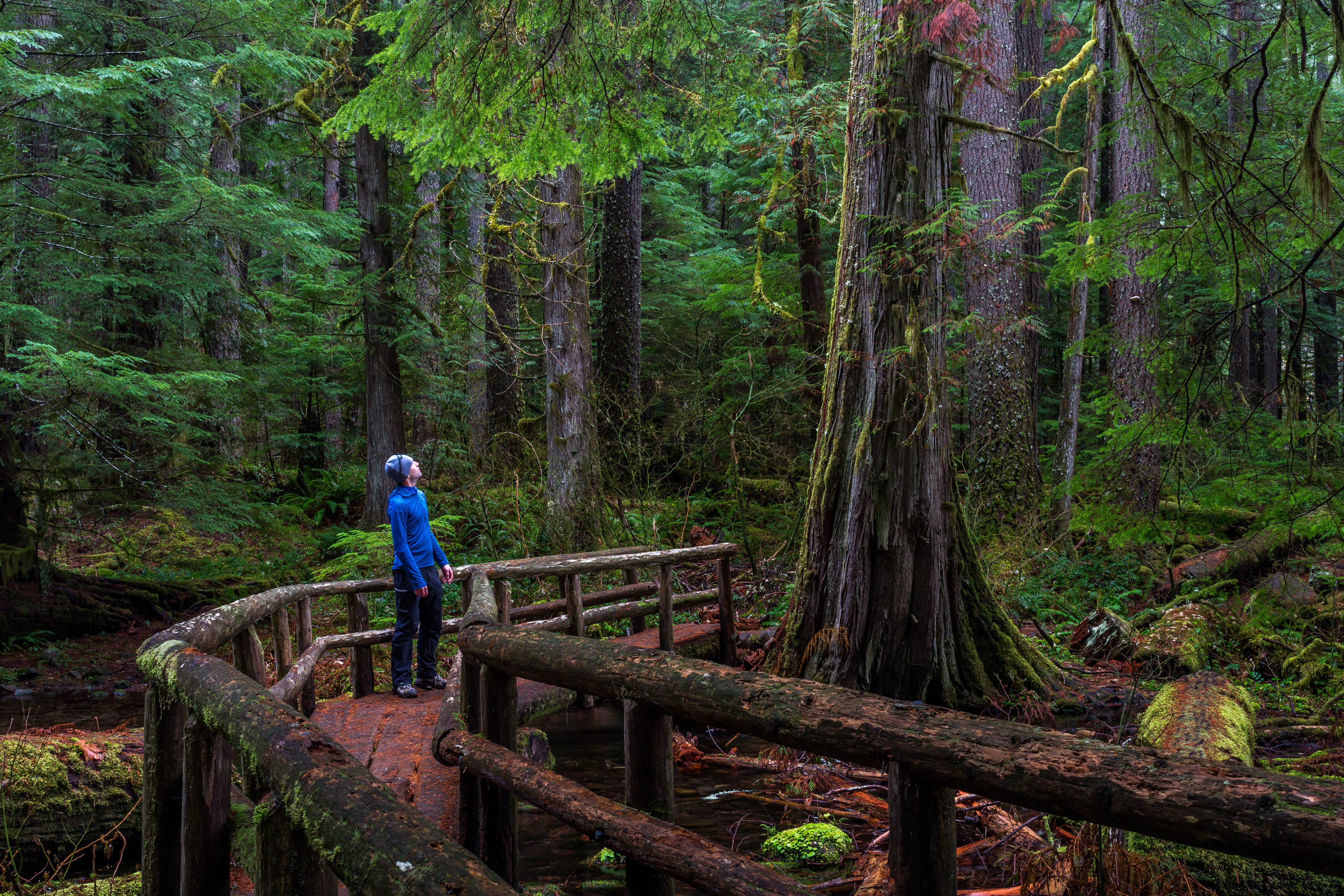 Explorer Spotlight: Michael Graw