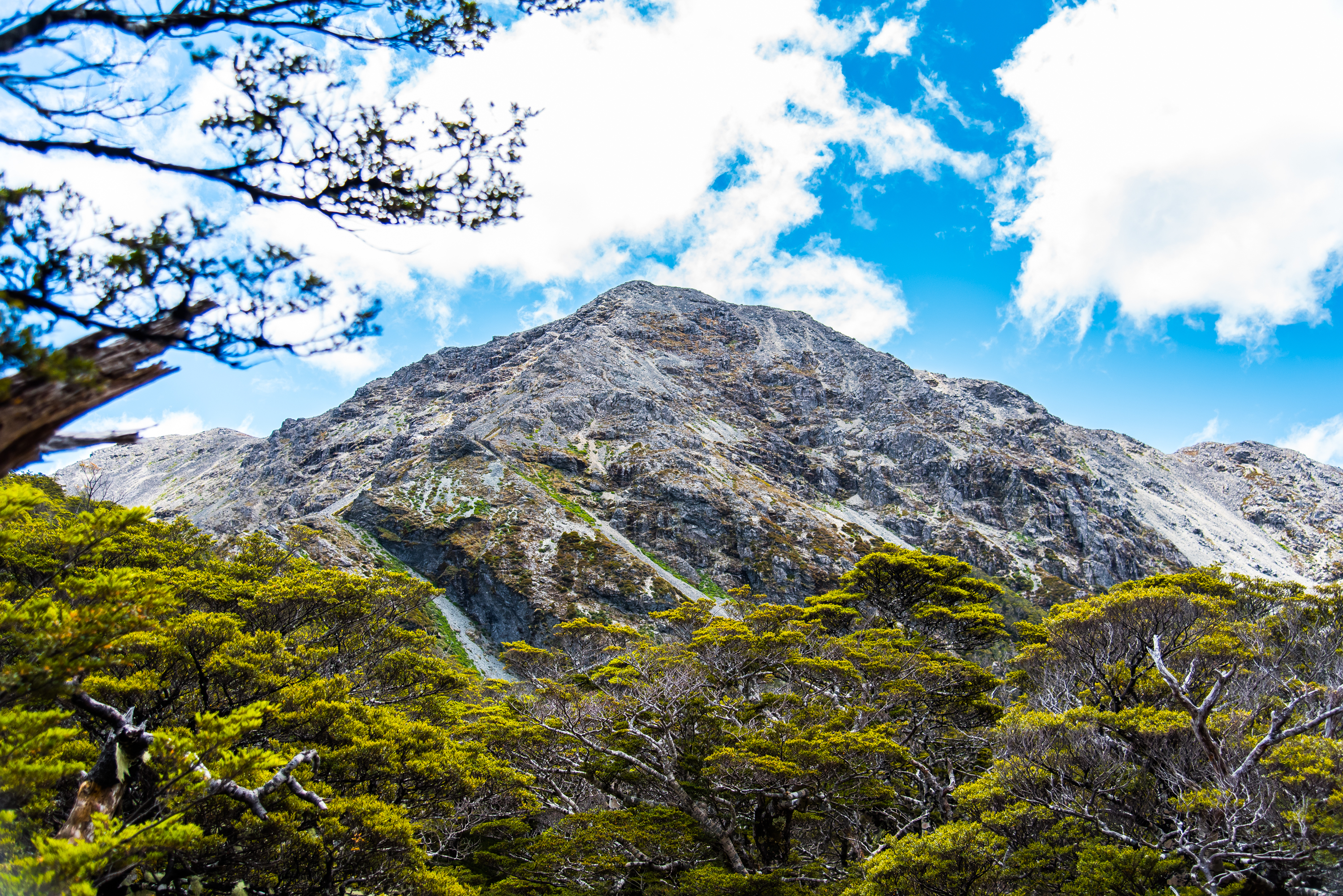 Photo of Hike Mt. Fishtail