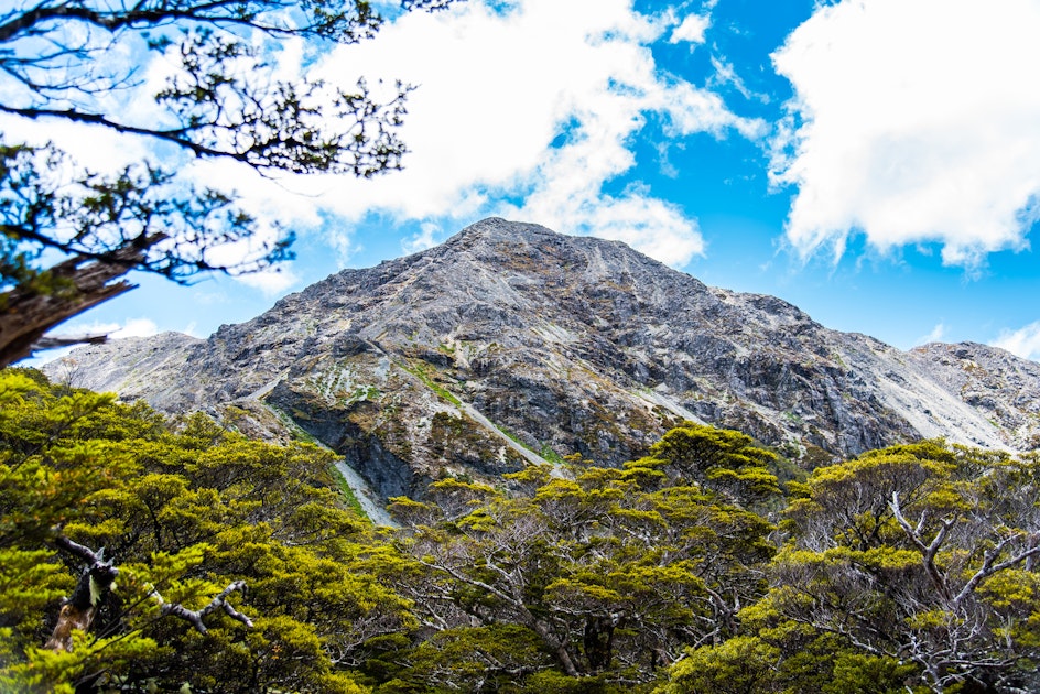 Hike Mt. Fishtail, North Bank, New Zealand