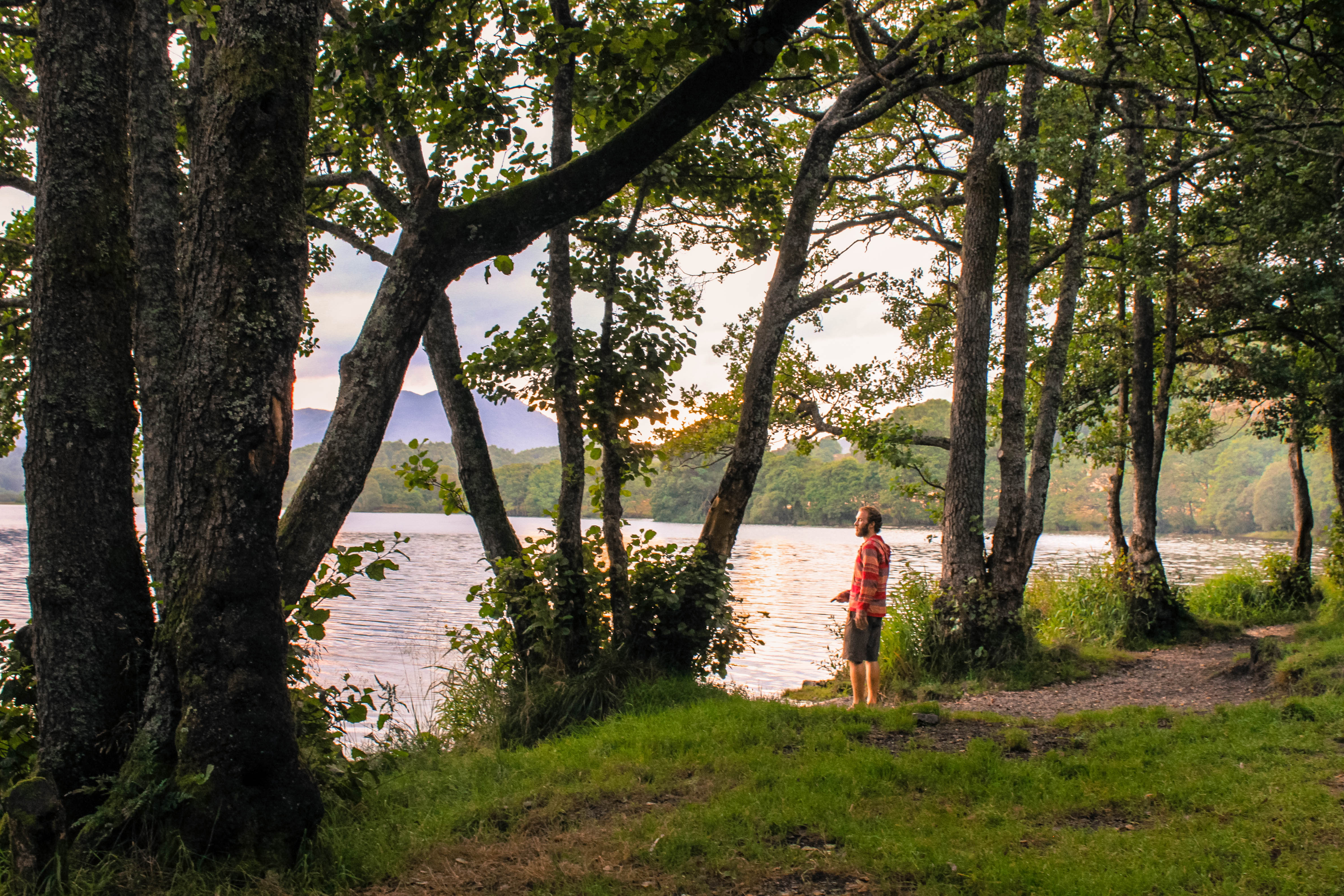Photo of Camp at Loch Lomond's Sallochy Campsite