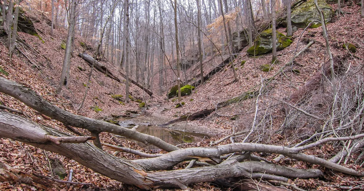 Hike the Low Gap Trail, Low Gap Trailhead, Morgan-Monroe SF