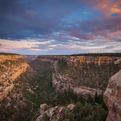 Explore Mesa Top Loop, Mesa Top Loop Road
