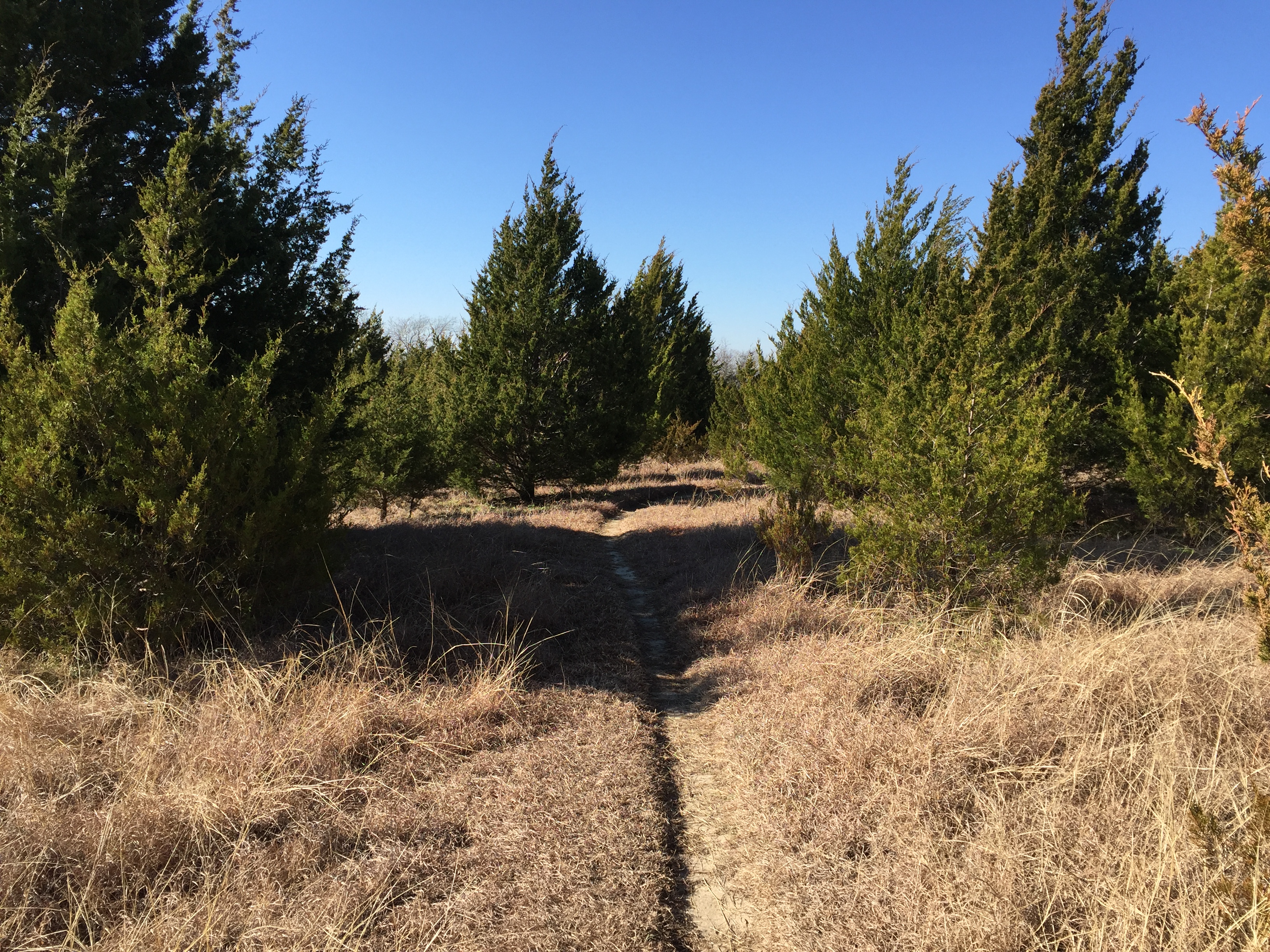 Sister Groves Trail, Princeton, Texas