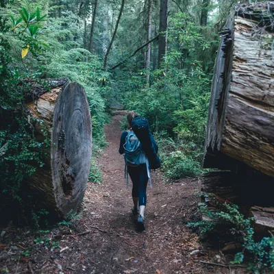 Hike to Tall Trees Grove, Redwood NP, Tall Trees Grove Trailhead